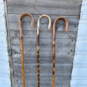 Shrub Cane, Shepherd's Cane, Hardwood Staff, Bent Handle Walking Cane ...