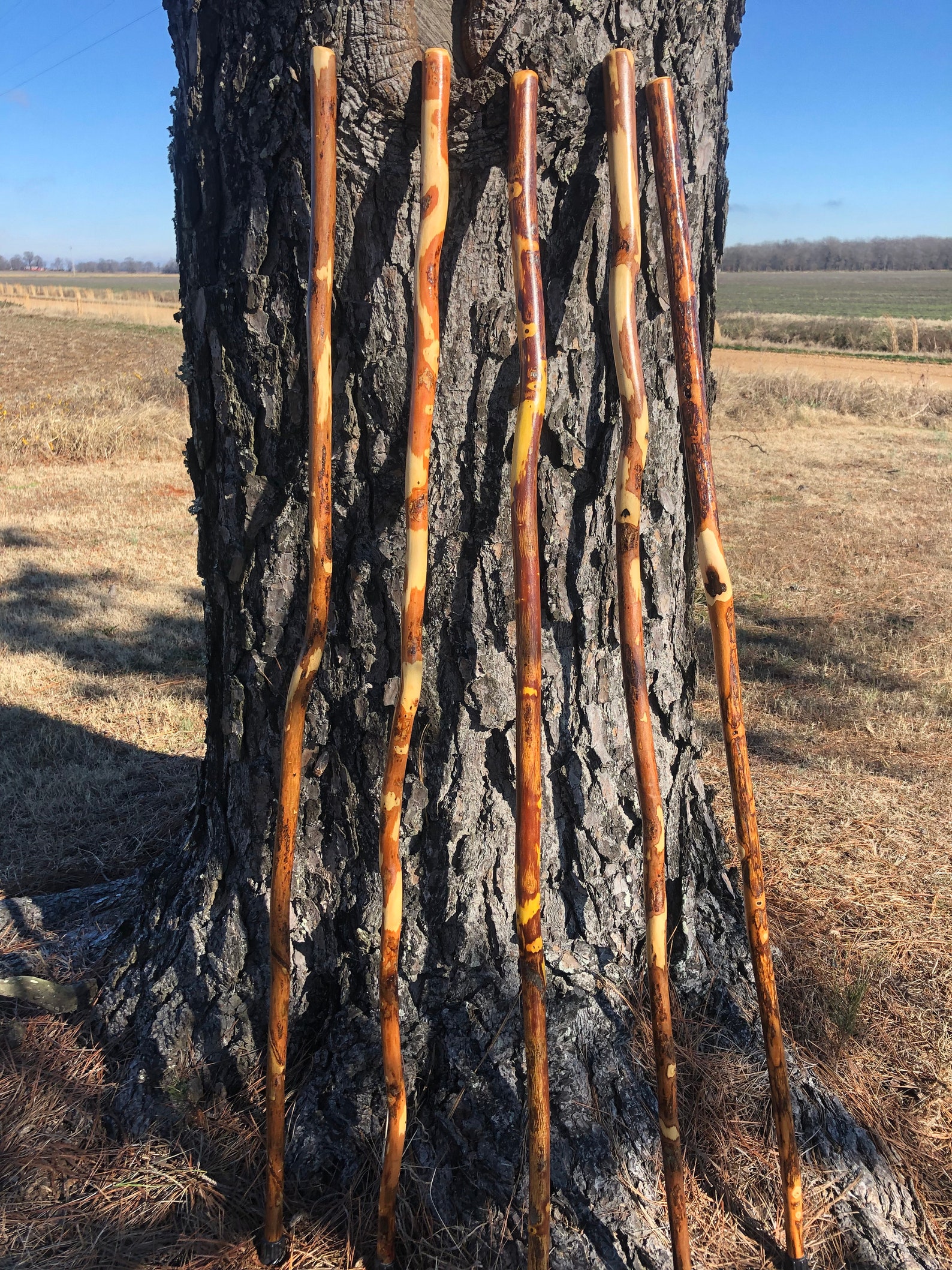Ozark Hardwood Hiking Stick, Walking Stick, Outdoors, Adventure ...
