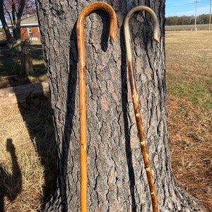 Shrub Cane, Shepherd's Cane, Hardwood Staff, Bent Handle Walking Cane ...