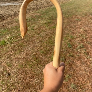 Shepherd's Crook, Shepherd’s Staff, Stockman’s Cane, Solid Oak Steam ...
