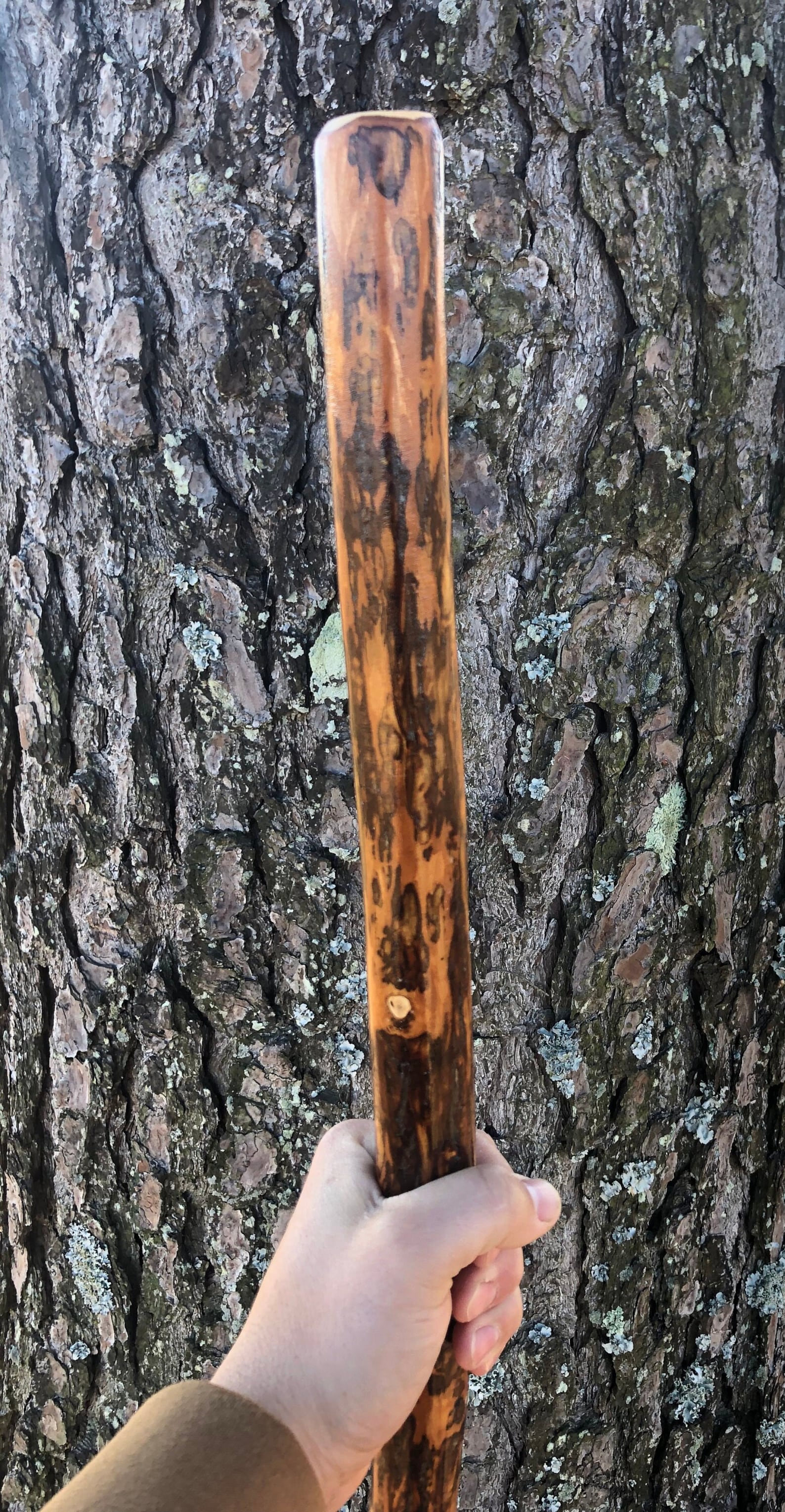 Bundles of Hiking Sticks, 5 Foot Walking Stick Bundles, Hiking Sticks ...