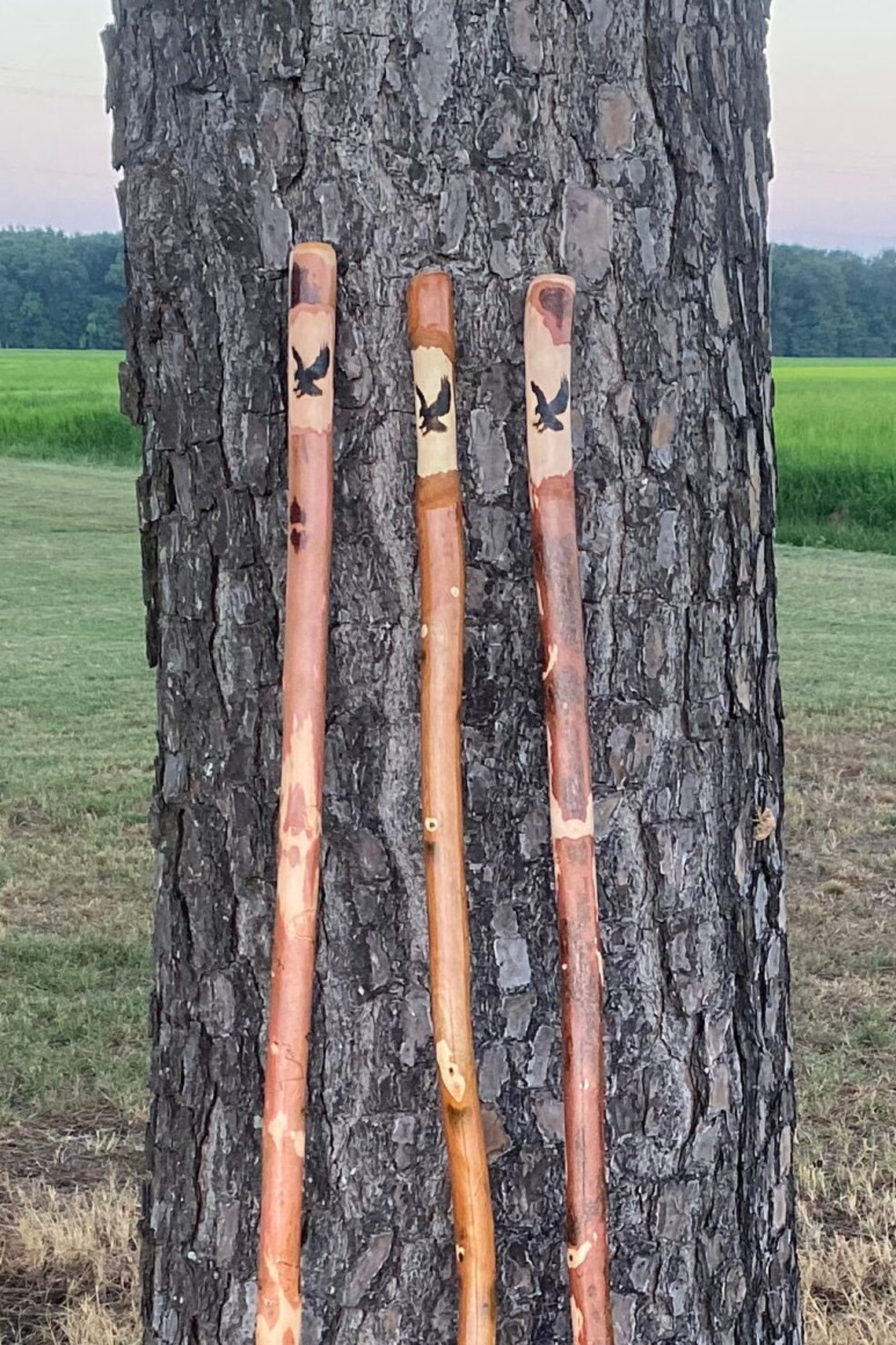 Eagle Hiking Stick, Bald Eagle Walking Stick, America’s Walking Stick ...