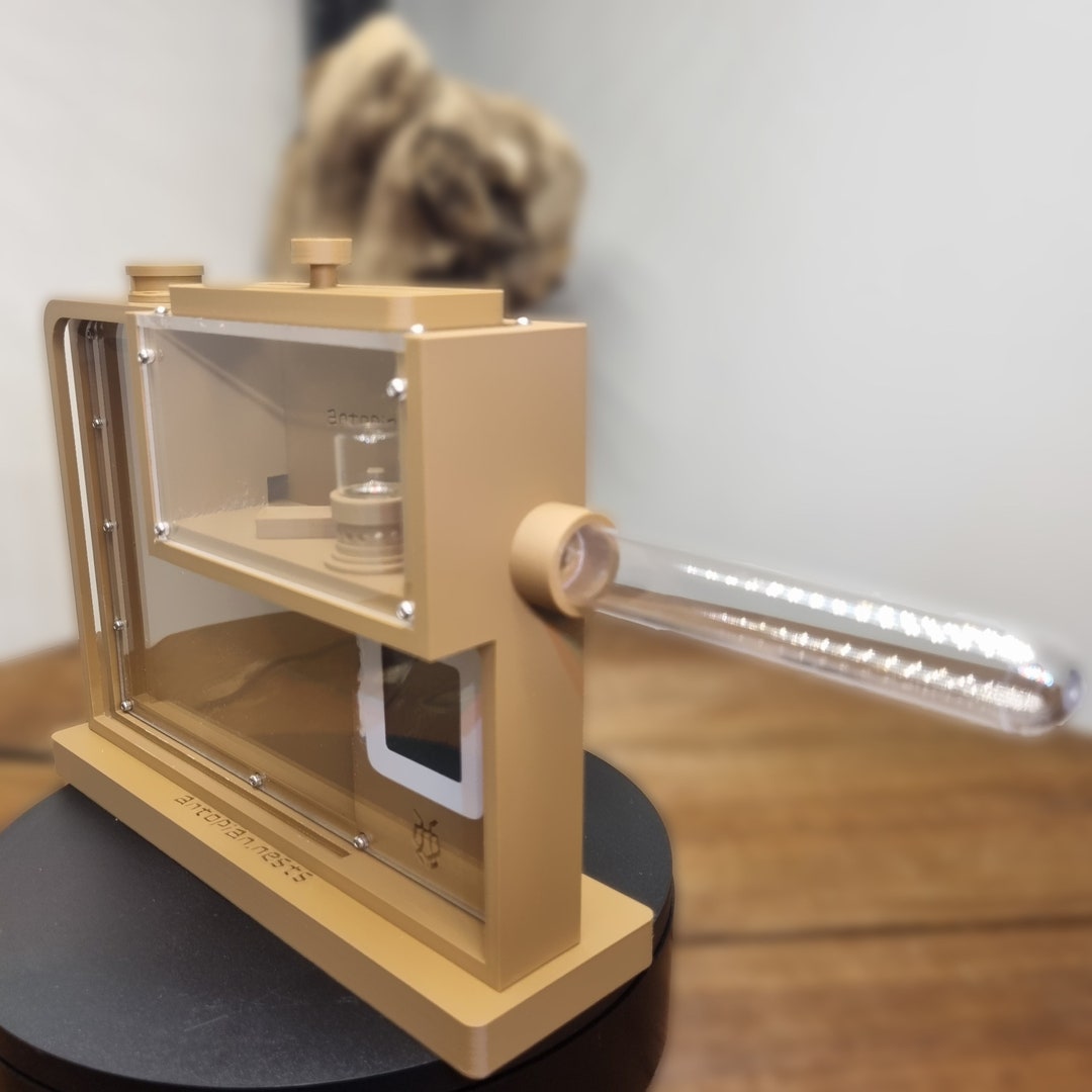 Antopia.sands the Ant sand Formicarium Everything Included, Just Add ...