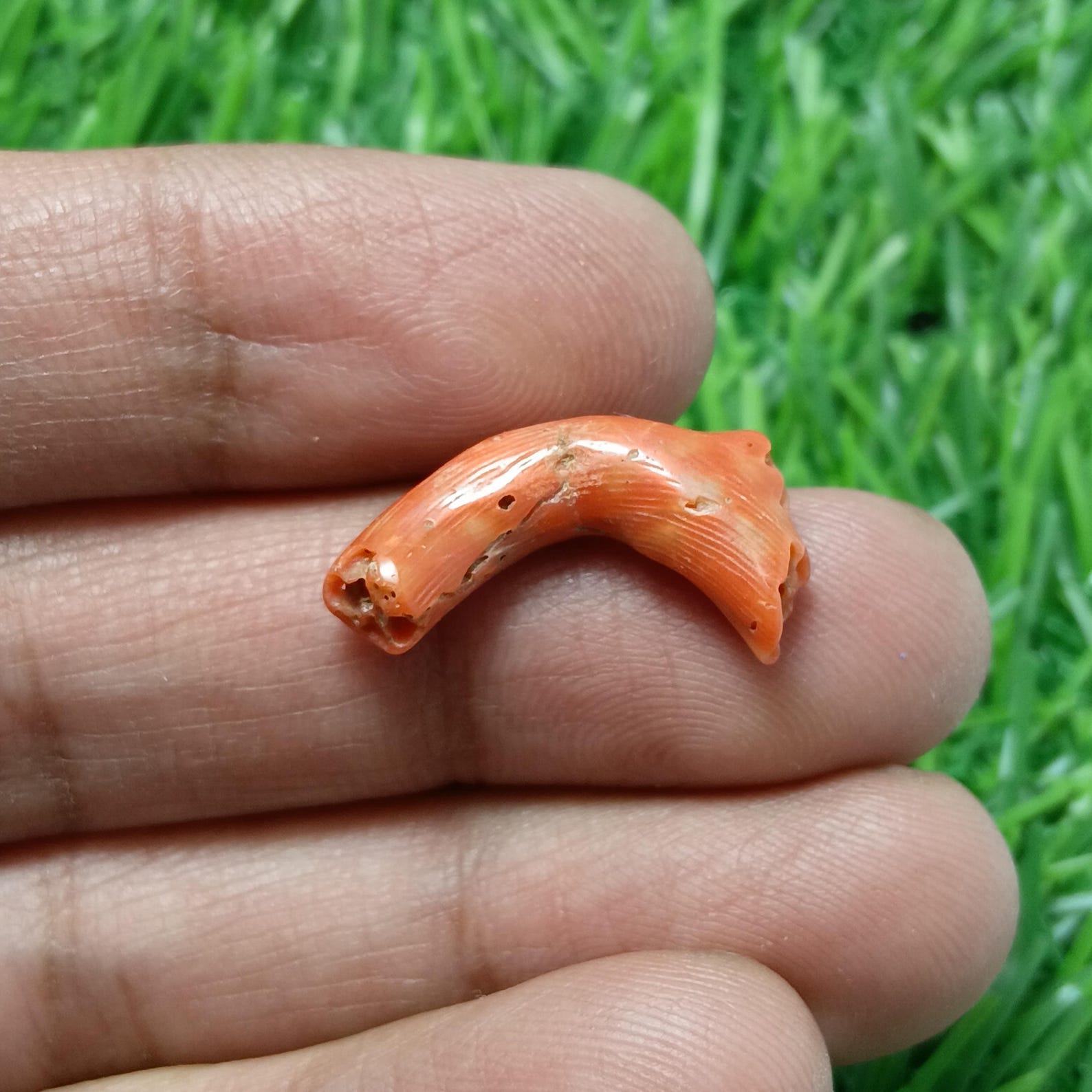Red Italian Coral Raw Gemstone Semi Precious Polished Coral From Italy ...