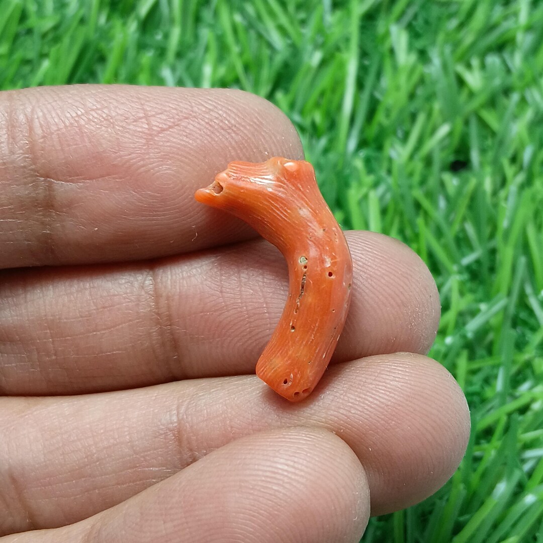 Red Italian Coral Raw Gemstone Semi Precious Polished Coral From Italy ...
