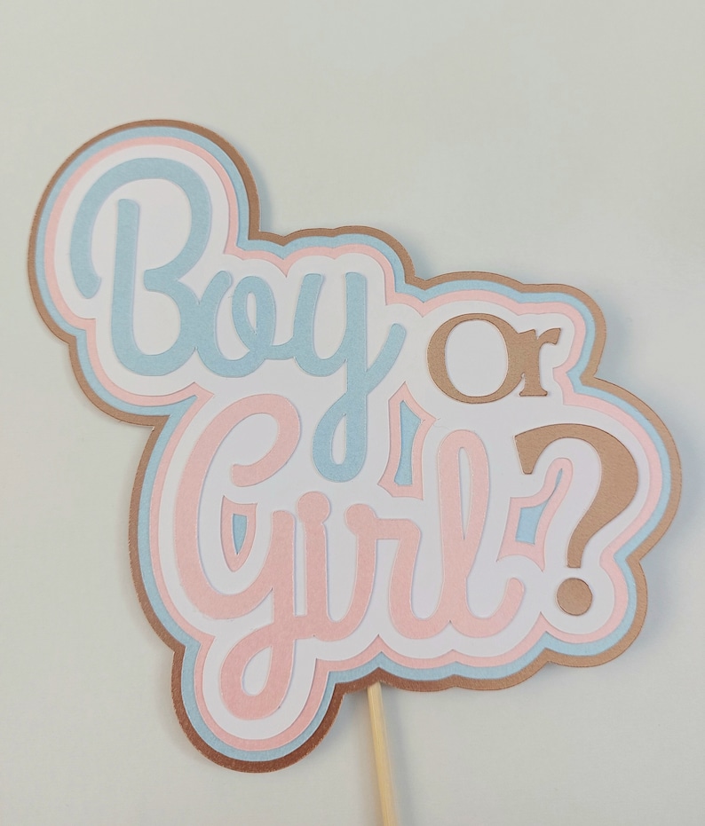Boy or Girl Cake Topper Gender Reveal Boy or Girl Baby - Etsy