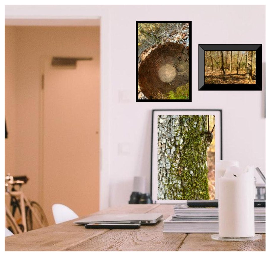 15 Printable Nature Photos & 4 FREE Wordart Backgrounds, 4x6in, DIY ...