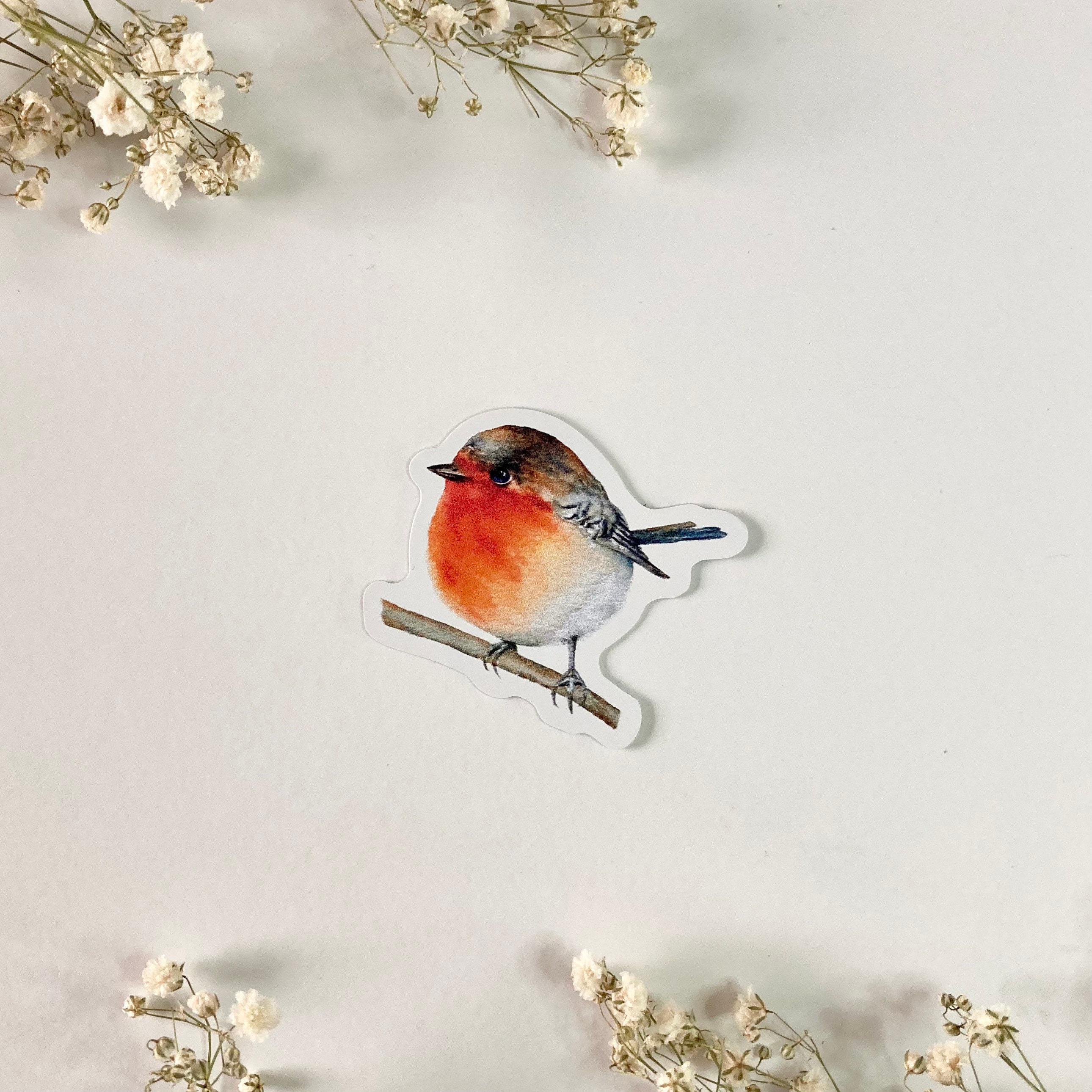 Red Robin Sticker Die Cut Vinyl Sticker Cute Bird Sticker - Etsy