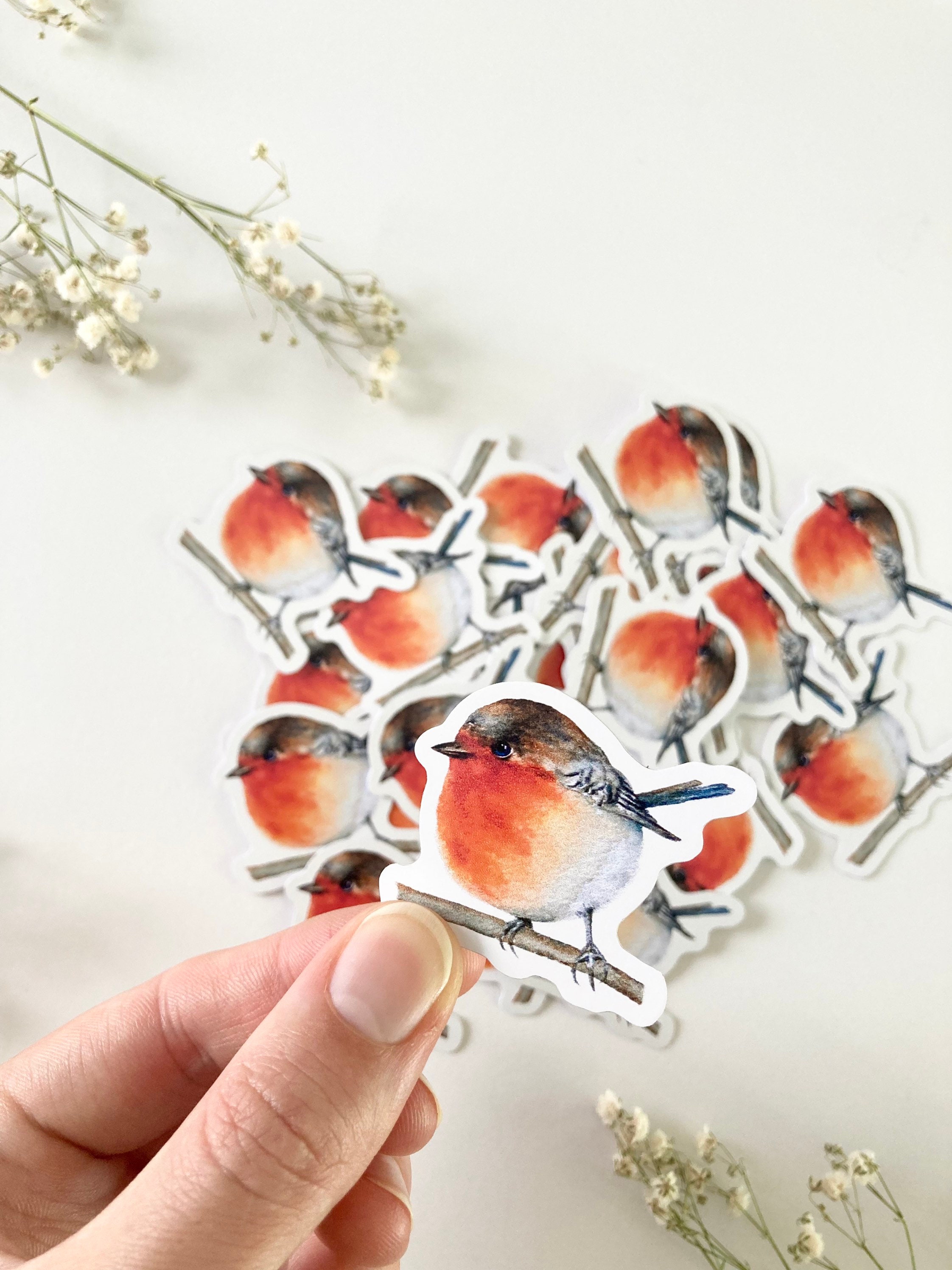 Red Robin Sticker Die Cut Vinyl Sticker Cute Bird Sticker - Etsy