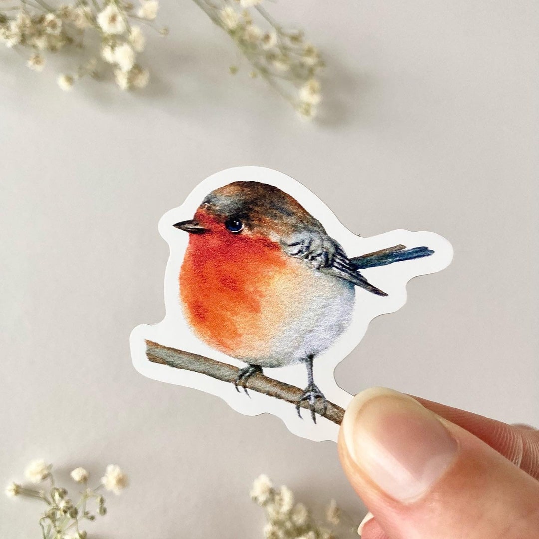 Red Robin Sticker Die Cut Vinyl Sticker Cute Bird Sticker Etsy
