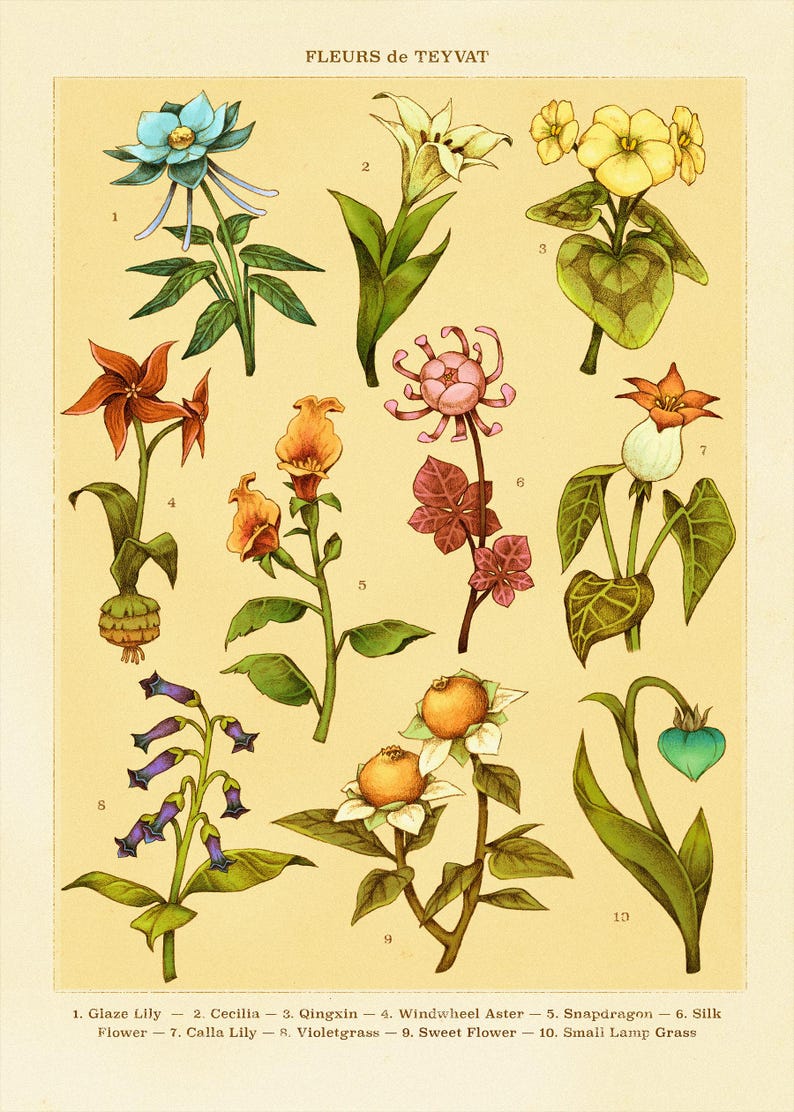 Genshin Impact Vintage Flower Poster - Etsy