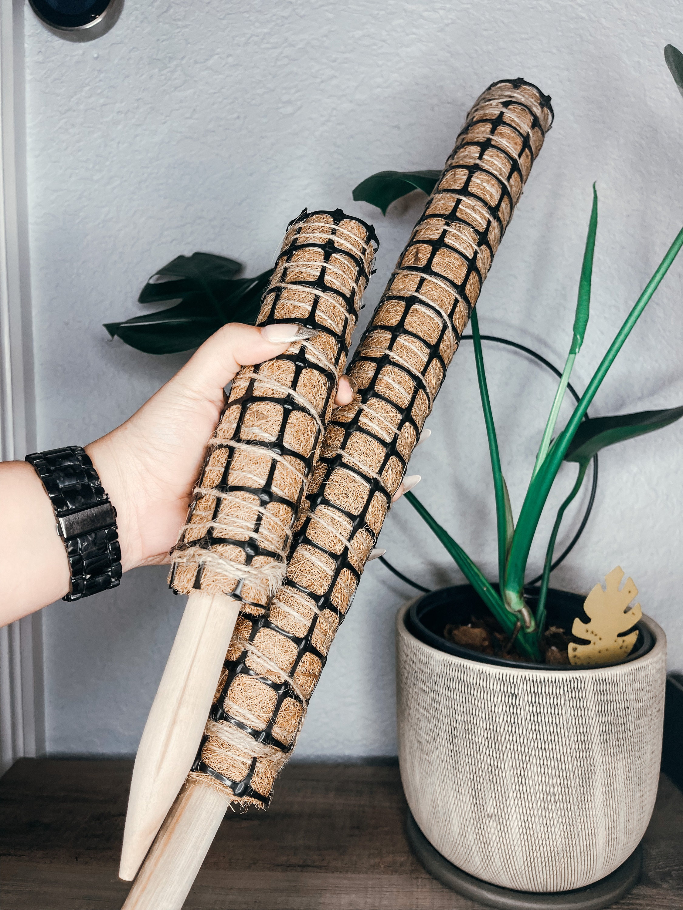 12" & 24" Coco Coir Poles for Climbing House Plants - Etsy