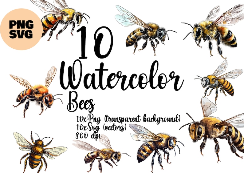 10 Bees Clipart Files PNG/SVG Bundle Commercial Use - Etsy