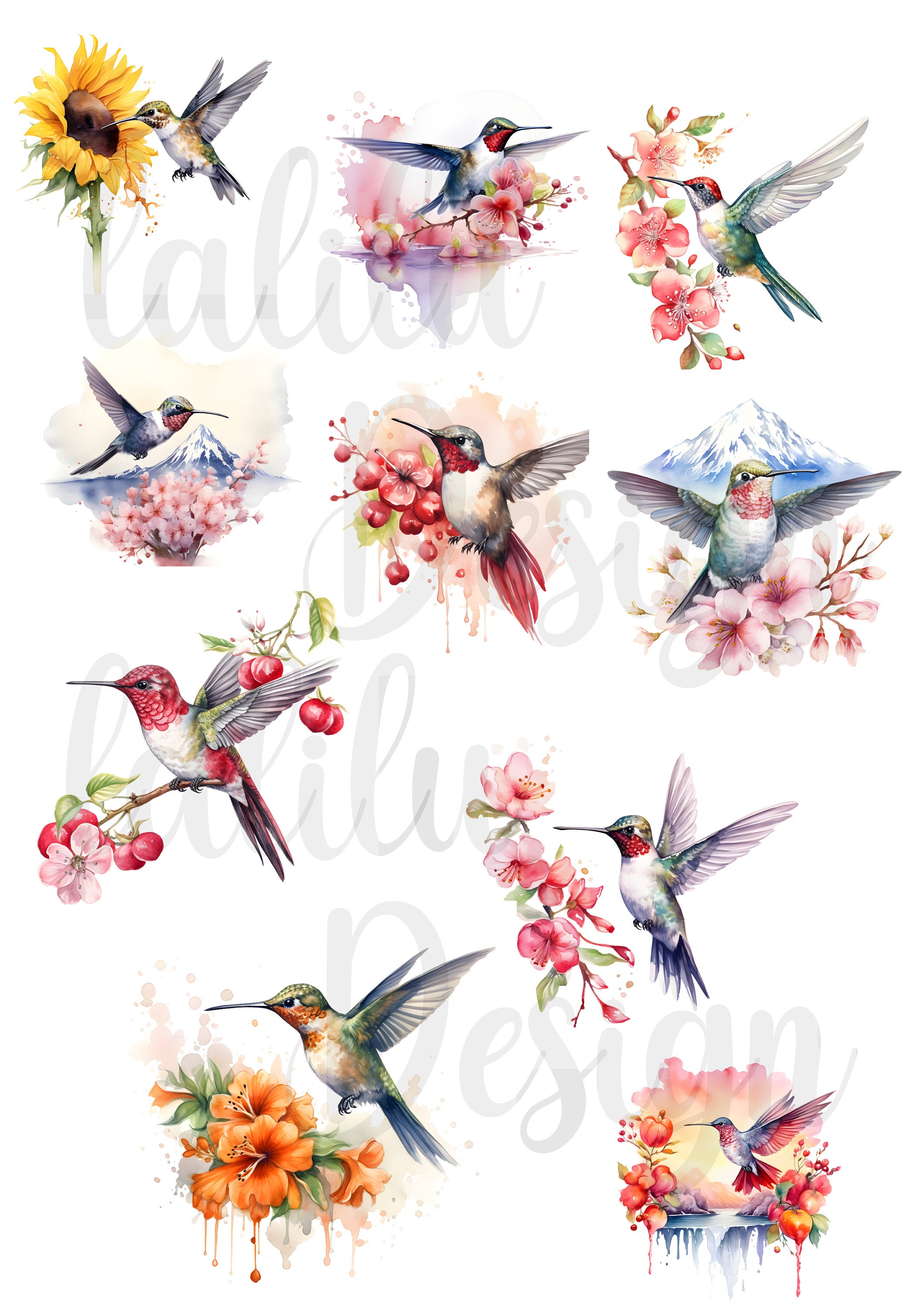 Watercolor Hummingbird 100 Pieces PNG white Background Hummingbird PNG ...