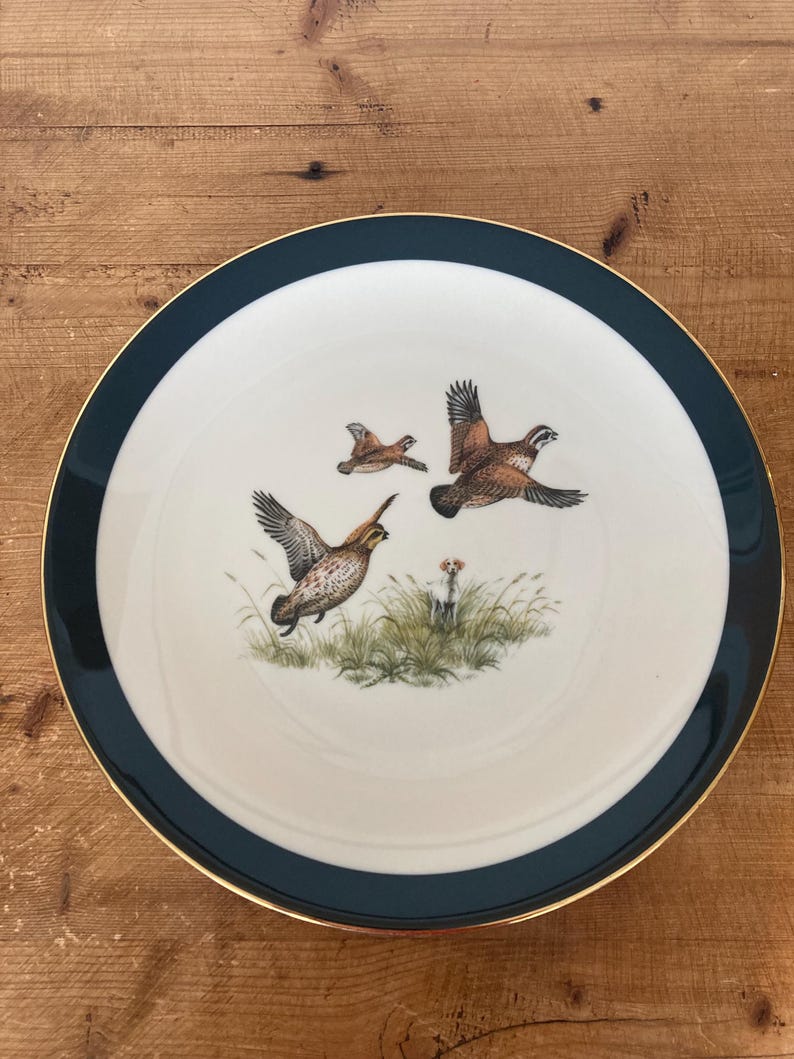 Game Birds - Plates - Etsy