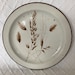 Midwinter Side Plate - Wild Oats - Etsy