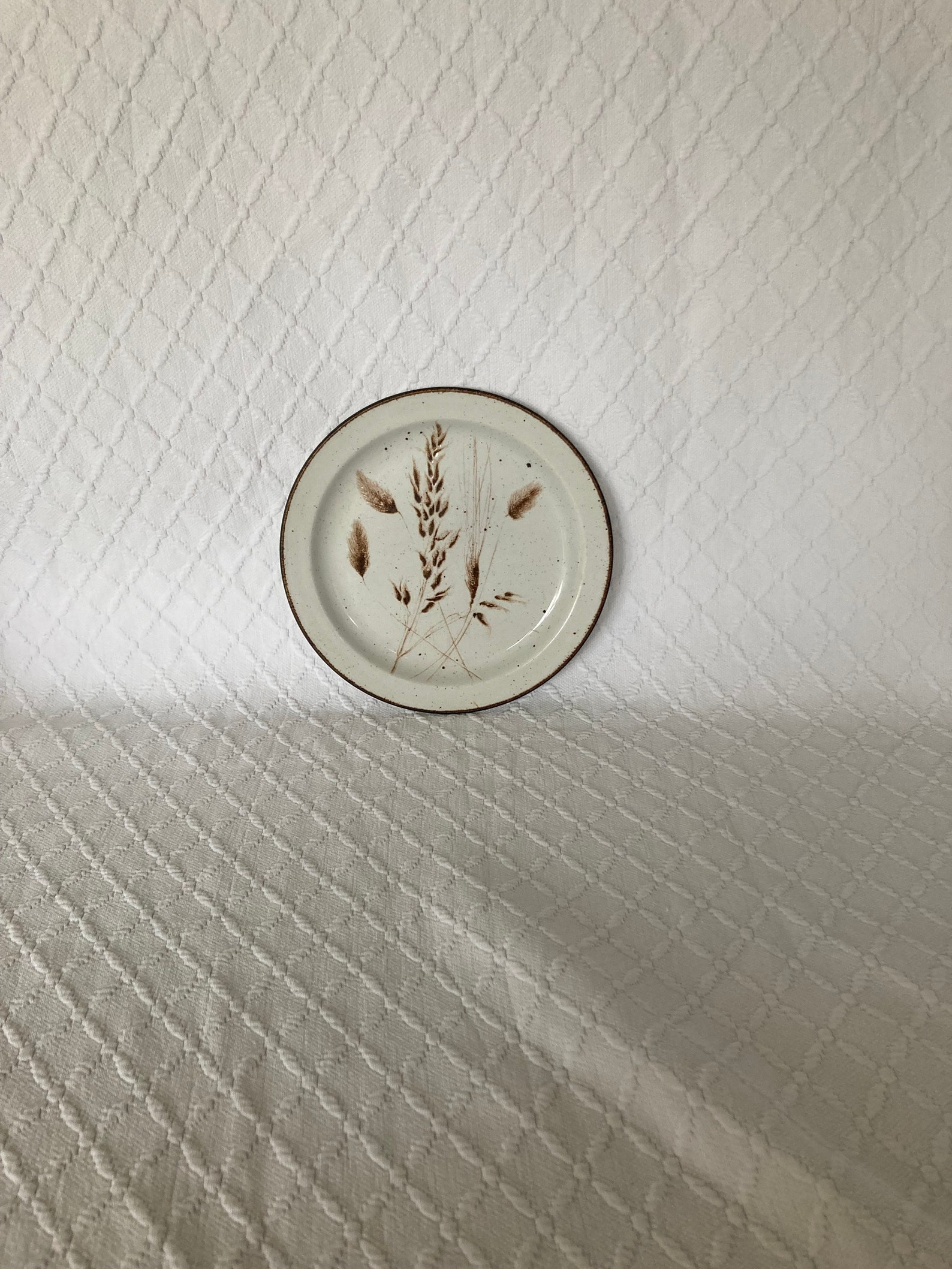 Midwinter Side Plate - Wild Oats - Etsy