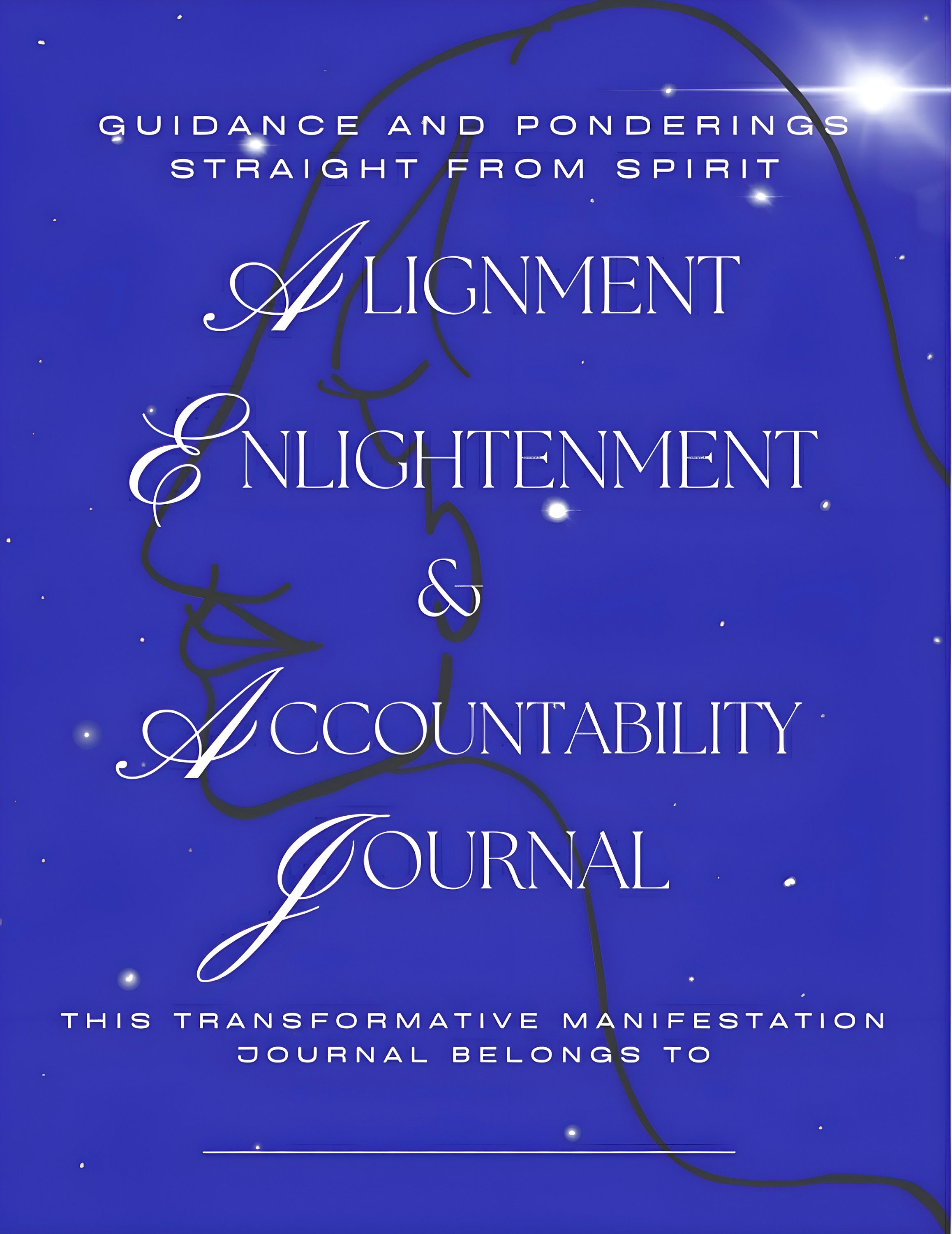 Alignment, Enlightenment, & Accountability Journal Guidance and ...