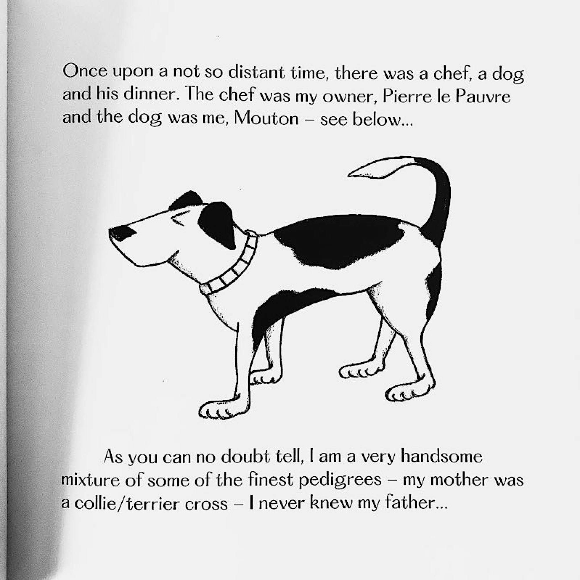 The Dog’s Dinner - Etsy UK