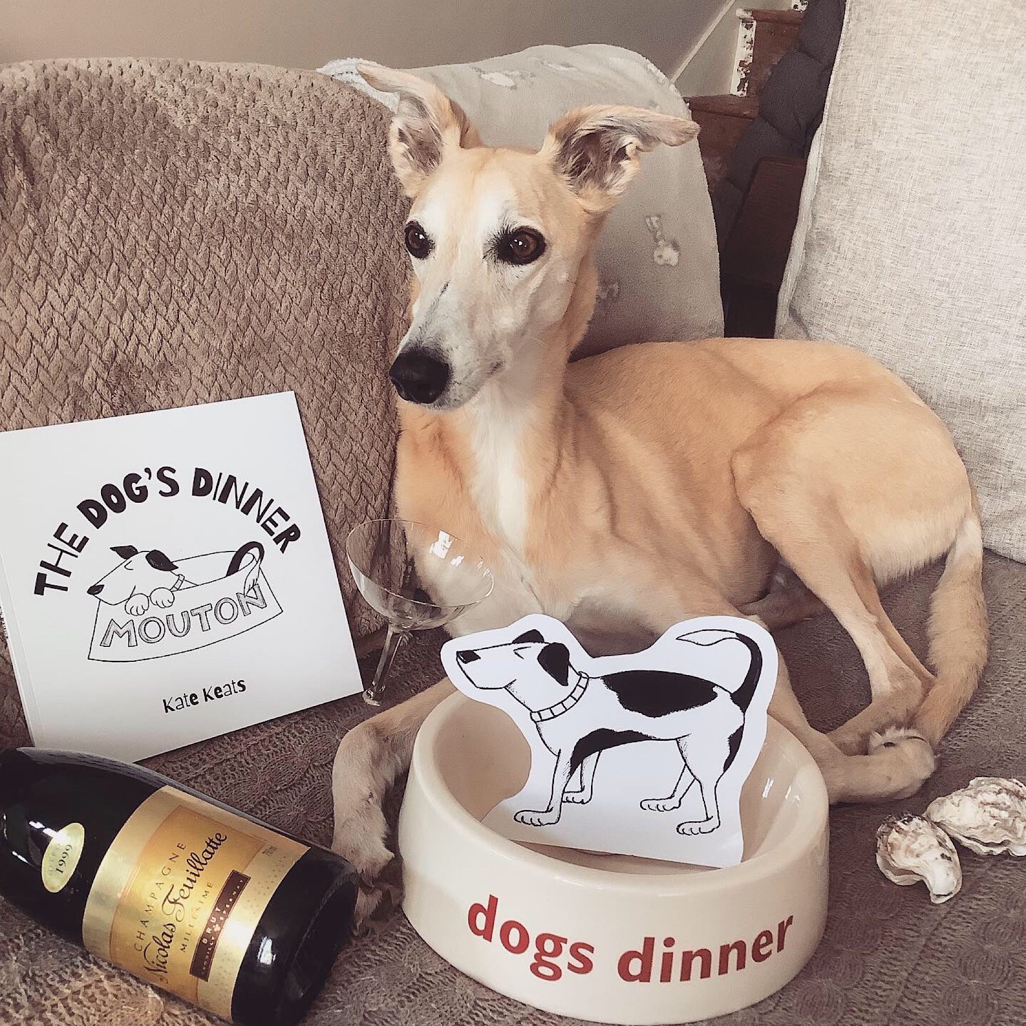 The Dog’s Dinner - Etsy UK