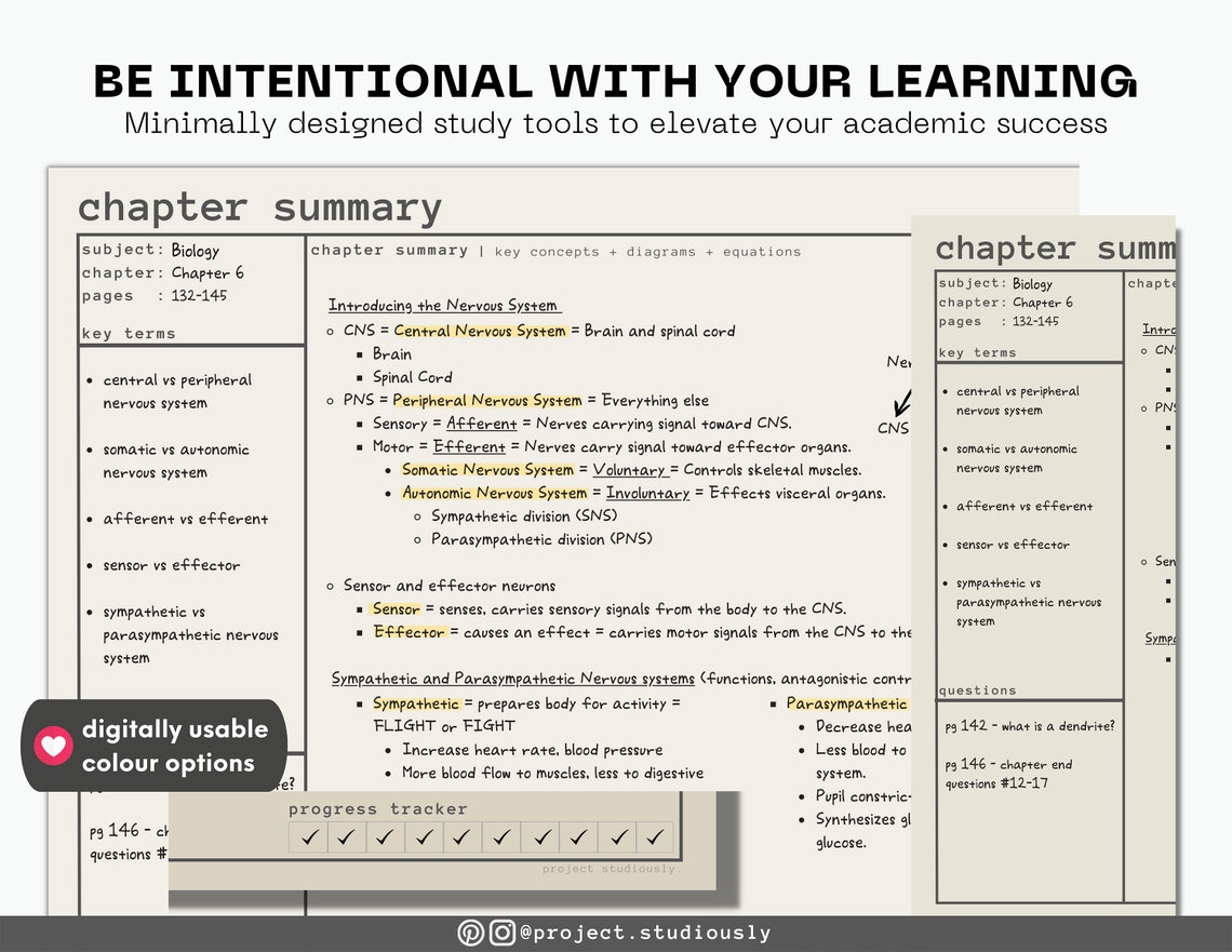 Chapter Summary | Big Picture Tool | Printable PDF | Minimalist Digital ...