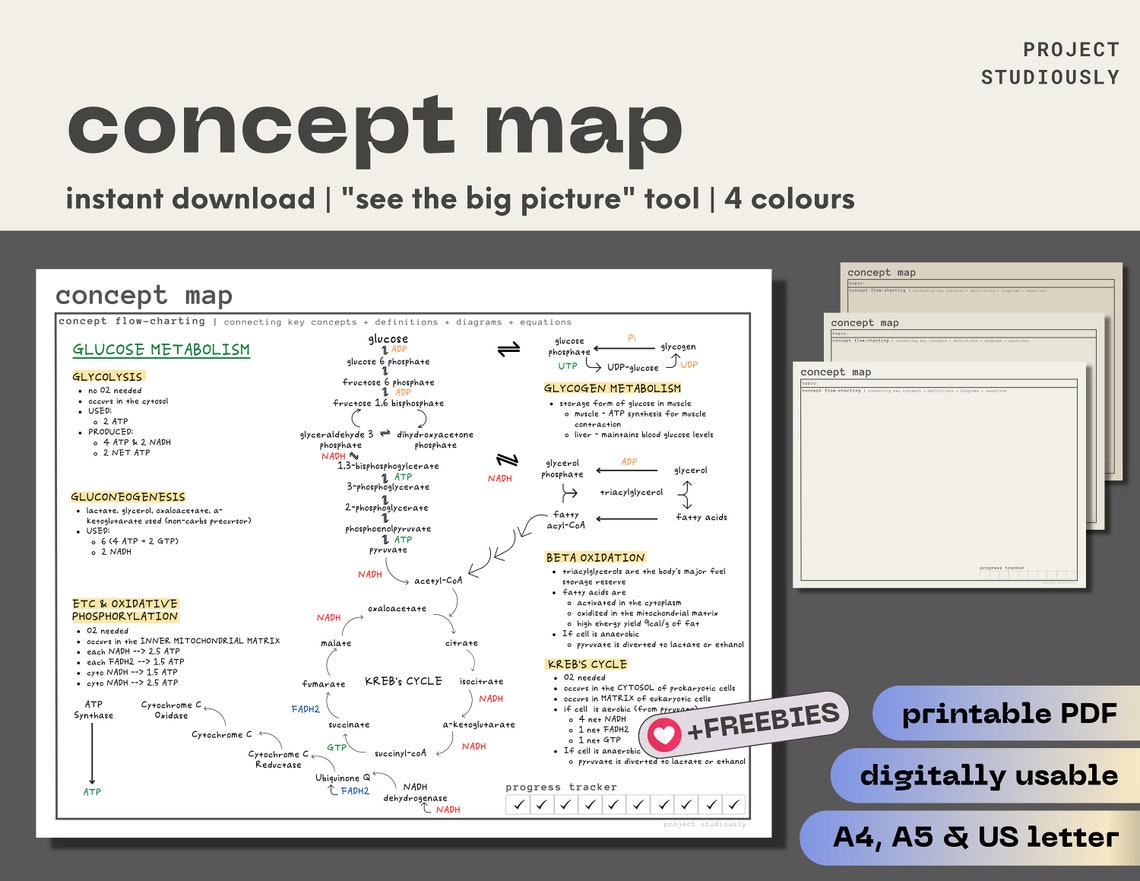 Simple Concept Map Big Picture Tool Printable PDF - Etsy