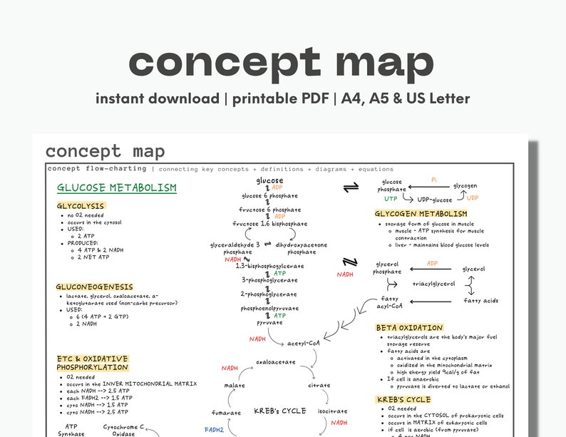 Simple Concept Map | Big Picture Tool | Printable PDF | Minimal Digital ...
