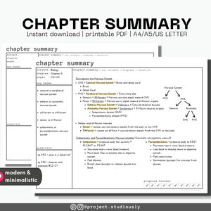 Chapter Summary | Big Picture Tool | Printable PDF | Minimalist Digital ...