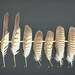 Common Buzzard Feather - Etsy