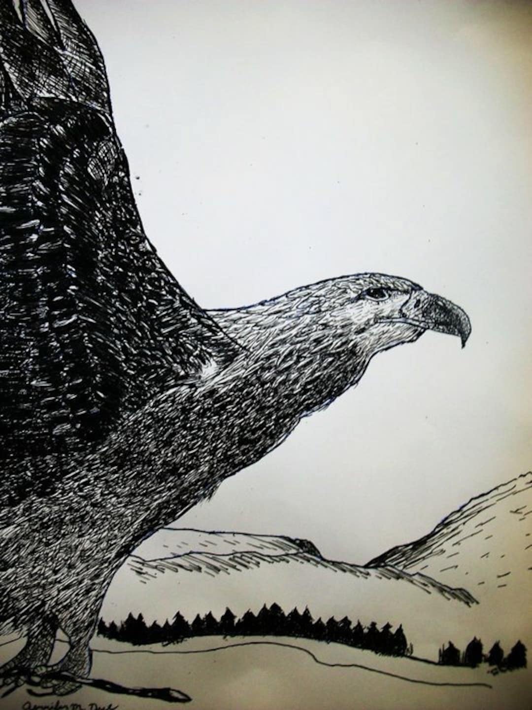 Hawk In Flight Drawing