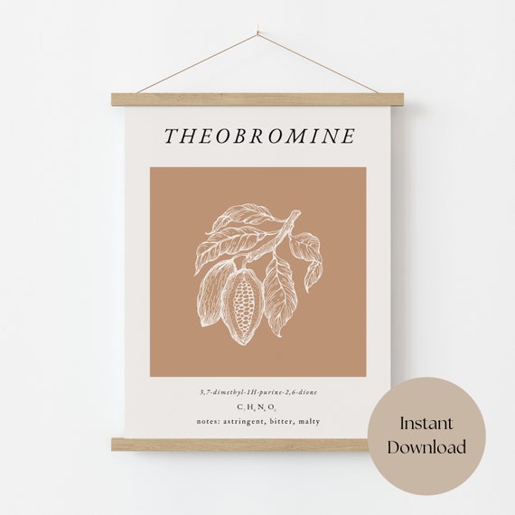 Theobromine Digital Print Chemistry Poster Science Art - Etsy