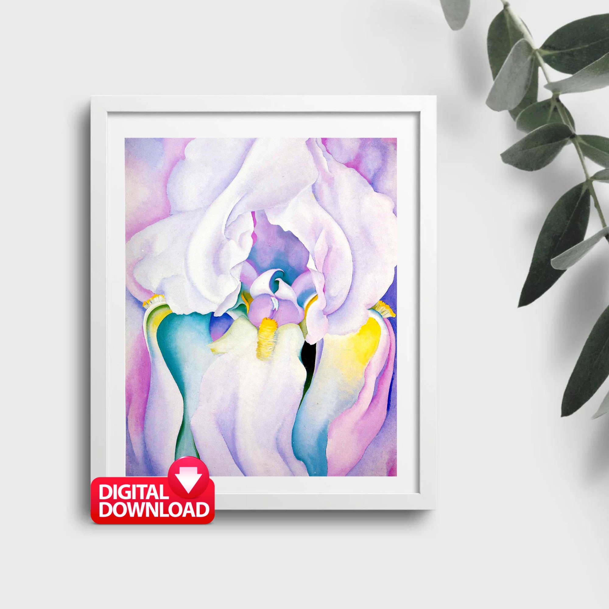 Light of Iris 1924 by Georgia O'keeffe, Vintage Colorful Iris Painting ...