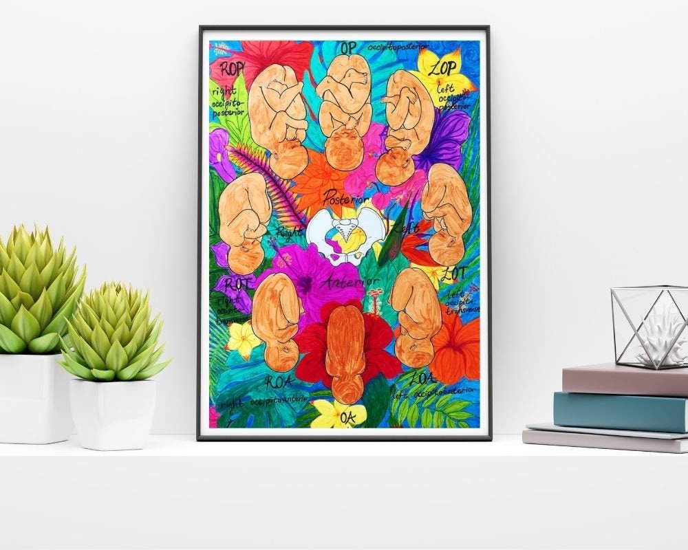 Baby Positions - Fetal Compass Rose - Tropical Floral Poster - Etsy