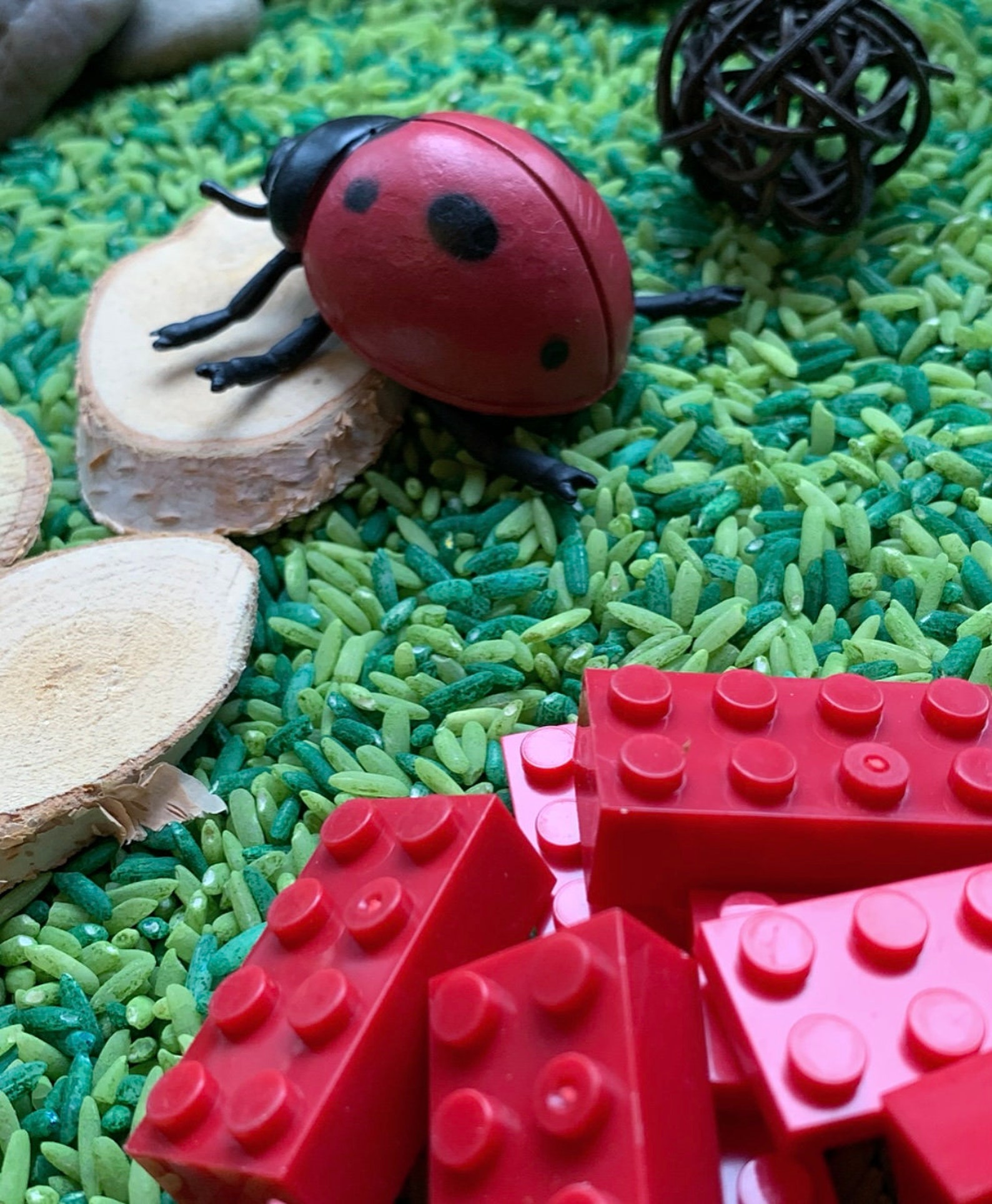 Lady Bug Life Cycle Sensory Kit sensory Bin Kid Busy Kit | Etsy