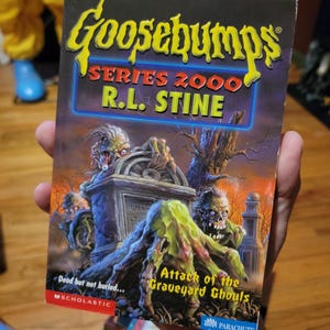 GOOSEBUMPS - Lot of 2 Mystery Books - R.L. Stine Classics, New Releases ...