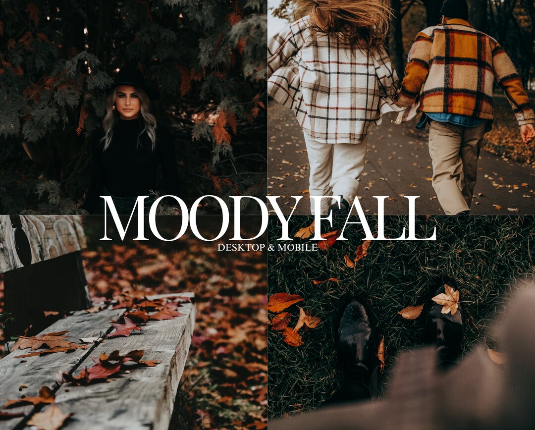 MOODY FALL 10 Mobile & Desktop Lightroom Presets by - Etsy