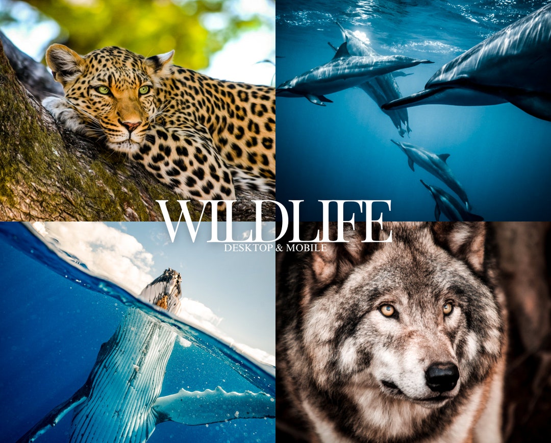 Wildlife-10 Desktop and Mobile Lightroom Presets,professional Filter ...