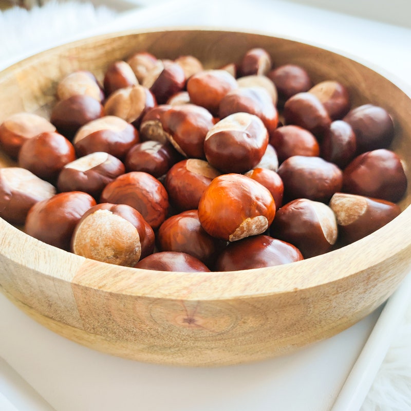 Chestnut Horse Decor - Etsy