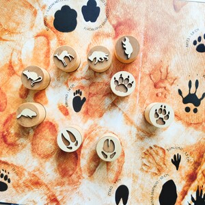Wildlife Animal Tracks Play Dough Stamps. A Set of 9 Wooden Forest ...