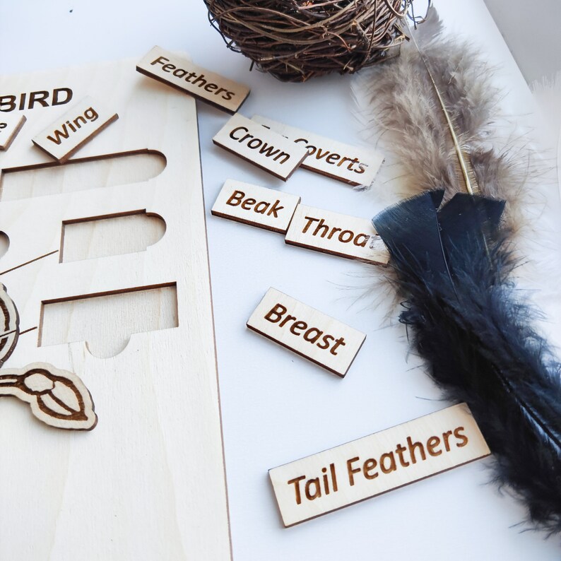 Body Parts of a Bird Puzzle Wooden Puzzle Montessori - Etsy