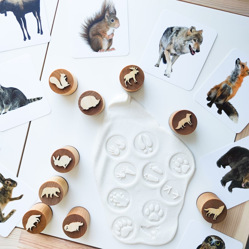 Double-sided Forest Animal Tracks Play Dough Stamps. - Etsy