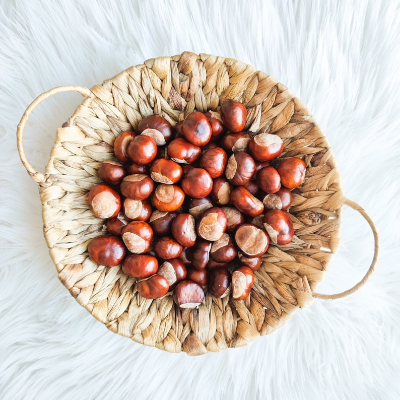 Organic Dried Horse Chestnuts. Craft Supplies for Christmas, Rustic ...