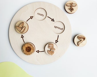 Plant Life Cycle - Etsy