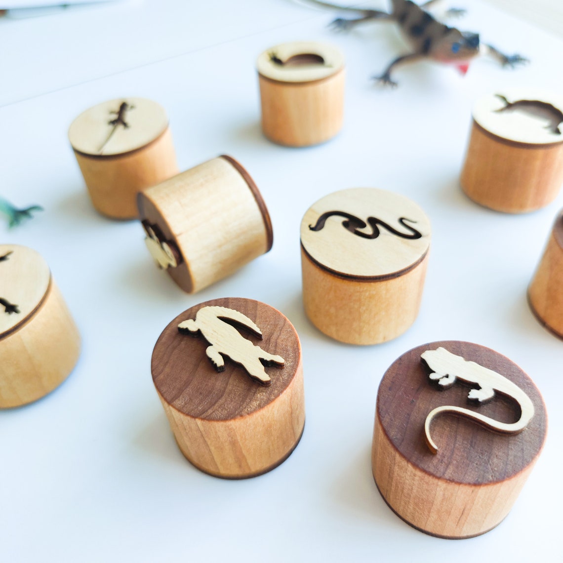 Reptiles & Amphibians Play Dough Stamps Homeschool Learning - Etsy