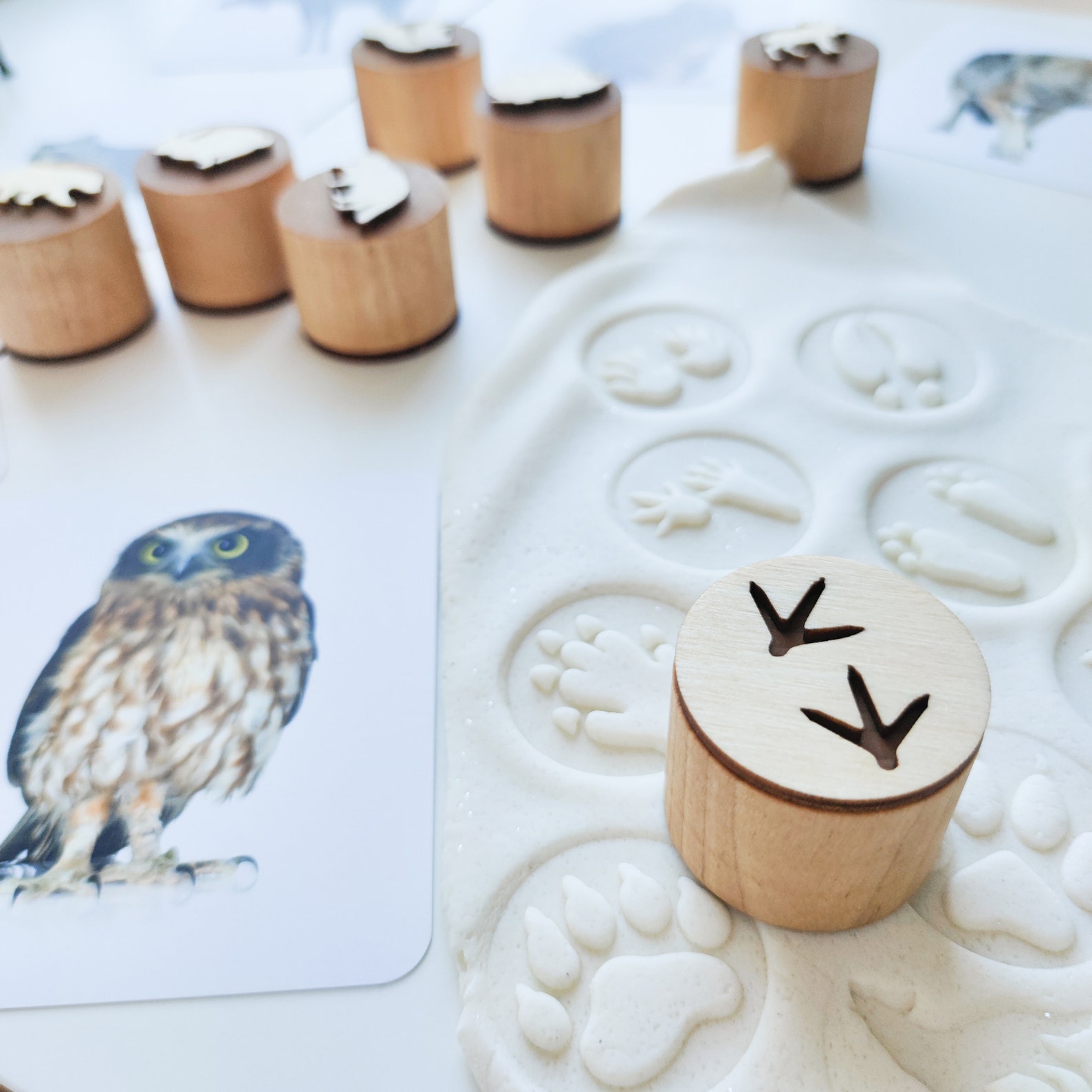Double-sided Forest Animal Tracks Play Dough Stamps. - Etsy
