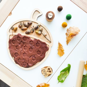 ACORN Sensory Play Board. Montessori Inspired Wooden Sorting Tray for ...