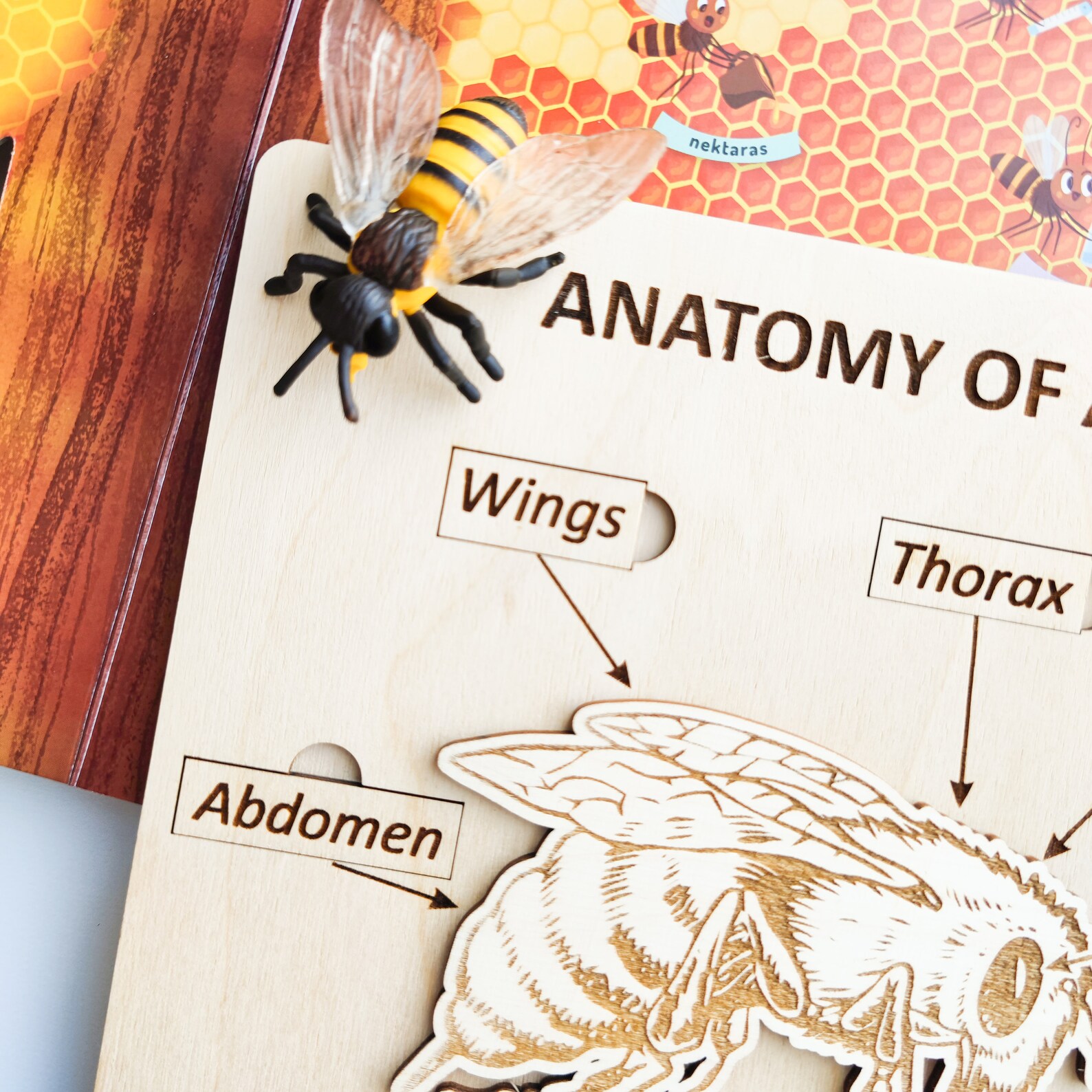 Bee Body Parts Puzzle for Kids. Montessori Classroom Toy. Wooden Bee ...
