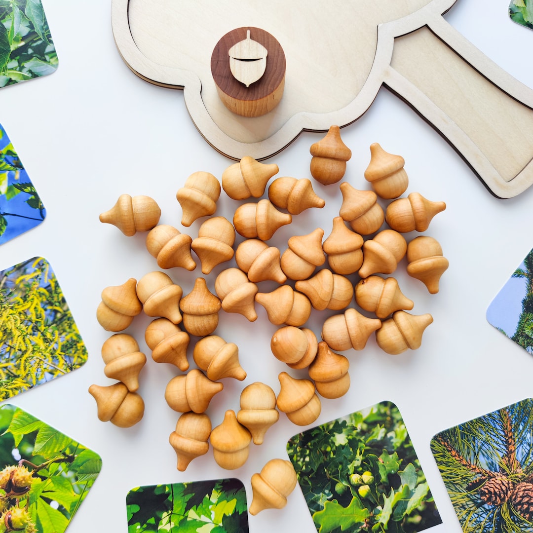 10 Wooden Acorns for Open-ended Play. Montessori Counting and Waldorf ...