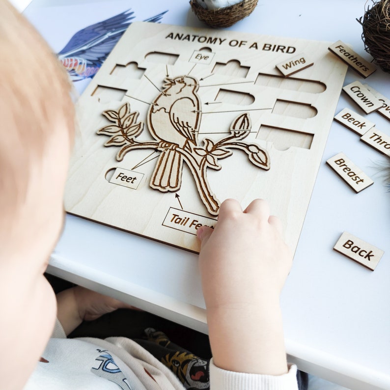 Body Parts of a Bird Puzzle Wooden Puzzle Montessori - Etsy