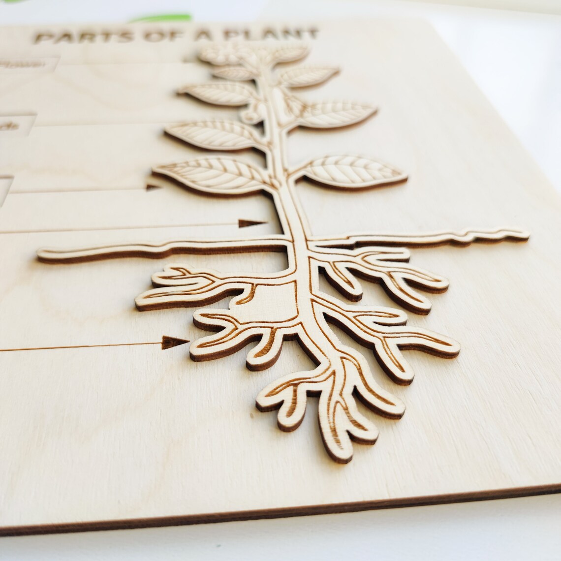 Parts of a Plant Wooden Puzzle. Montessori-inspired Toy for - Etsy